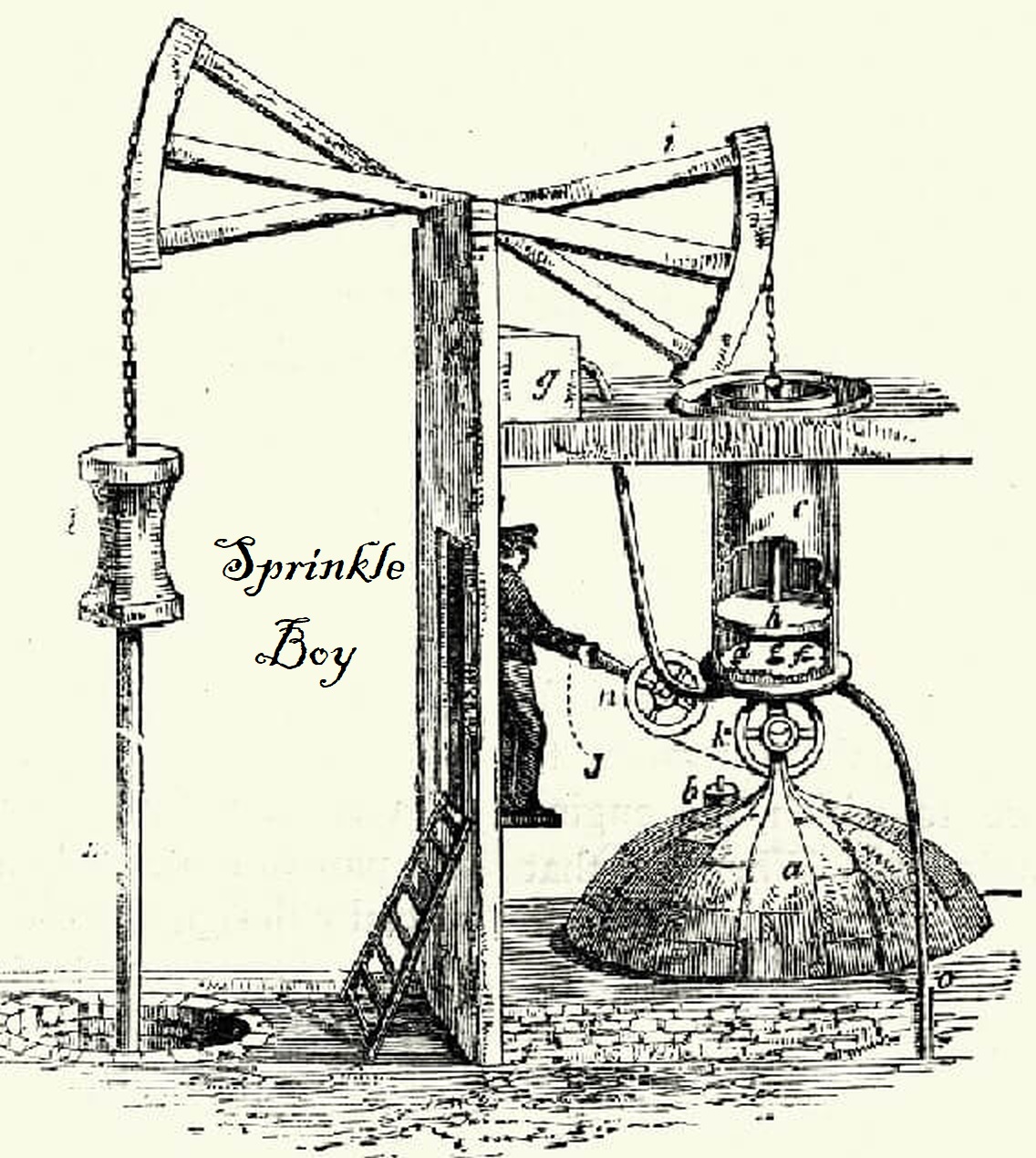 Sprinkle Boy